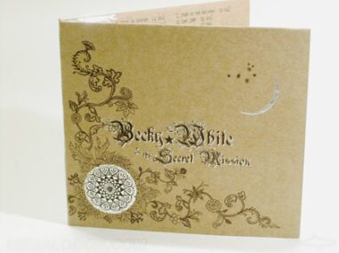 Disc Jacket Packaging – CD DVD Multi Disc Jackets – MegaGroup Inc ...