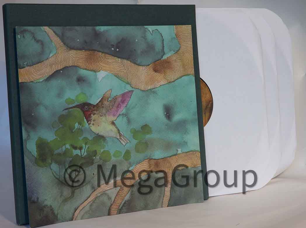 Vinyl Box Sets, Collector Set Boxes – MegaGroup Inc – Custom Packaging ...